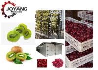 China Hot Air Fruit Cranberry Kiwi Mango Grape Date Drying Oven Machine With Long Life for sale