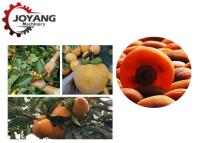 China Industrial Heating Pump Persimmon Vegetable Dryer Machine CE Certification for sale