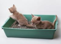 China Industrial Tunnel Cat Litter Microwave Drying And Sterilization Machine for sale