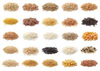 China Rice Corn Drying 200Kw Industrial Microwave Equipment for sale