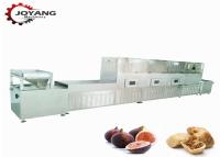 China Tunnel Belt Common Fig Microwave Sterilization Machine 30kw 30kg/H for sale