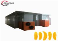 China High Capacity Mangifera Indica Hot Air Drying Machine JY8P Model for sale
