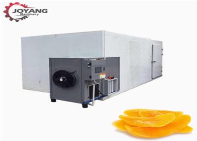 China High Capacity Mangifera Indica Hot Air Drying Machine JY8P Model for sale