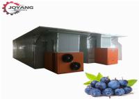 China Blueberry Hot Air Drying Fruit Dehydration Equipment CE Certification for sale