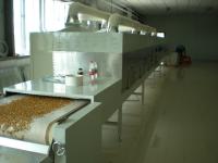 China Black Soldier Fly Larvae Microwave Dehydrator Mealworm Insects Drying Machine for sale