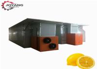 China 500kg/H Hot Air Dryer Machine Lemon Fruit Vegetable Drying Machine for sale