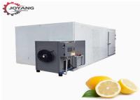 China 500kg/H Hot Air Dryer Machine Lemon Fruit Vegetable Drying Machine for sale