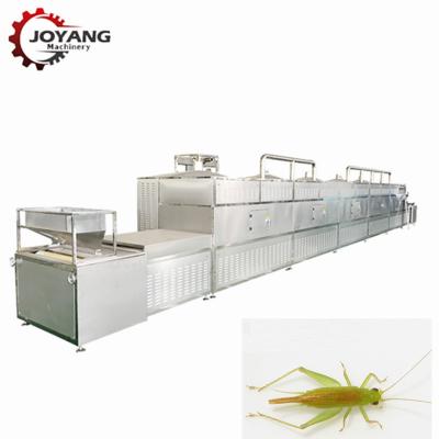 China 80kg/H Cricket Microwave Vacuum Drying Equipment With PLC Contronl for sale