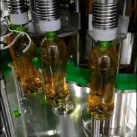 China 2000*1600*1800 Dimension Hot Filling and Capping Rotary Machine for Fruit Pulps Juice for sale