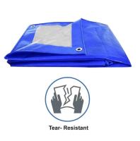 China Blue/Silver Waterproof Tarpaulin 85-120GSM with 10x12 Weave and 1m Eyelet Spacing for Industrial and Outdoor Use for sale