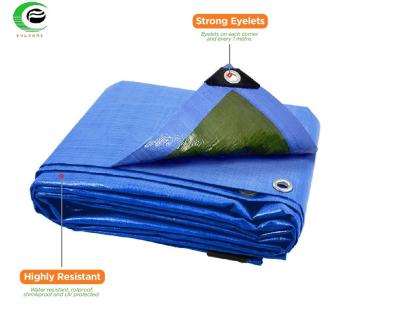 China Multi Purpose Waterproof Tarpaulins 70-120GSM Blue/Green with Aluminum Eyelets Every Meter for sale