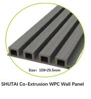 China Co-extrusion WPC Wall Panel 202mm Width 20.5mm Thickness Waterproof Eco-Friendly for Commercial Interiors for sale