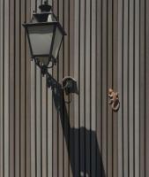 China Co-extrusion WPC Wall Panel 202mm x 20.5mm UV Resistant Wood Plastic Composite Cladding for sale
