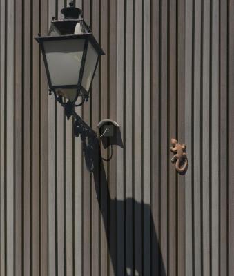 China Co-extrusion WPC Wall Panel 202mm x 20.5mm UV Resistant Wood Plastic Composite Cladding for sale
