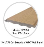 China Co-extruded WPC Wall Panel 20.5mm Thickness 202mm Width Waterproof Wood Plastic Composite for sale