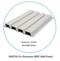 China Co-extrusion WPC Wall Panel 202mm Width 20.5mm Thickness Waterproof Rot Resistant for Interior Exterior Walls for sale