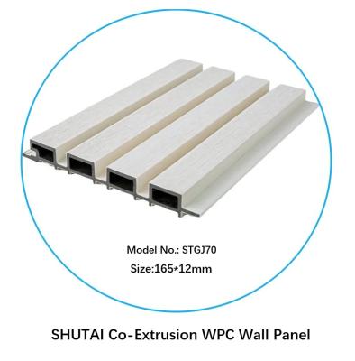 China Co-extrusion WPC Wall Panel 202mm Width 20.5mm Thickness Waterproof Rot Resistant for Interior Exterior Walls for sale
