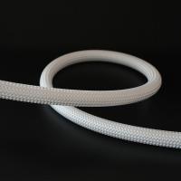 China Waterproof 24V LED Neon Flex 360° UV Resistant With Customizable Colors And Effects for sale