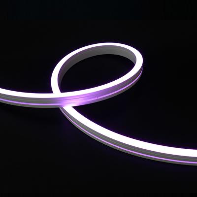 China Swimming Pools LED Neon Flex String Lights 24V IP68 CV SPI Or DMX512 High Brightness for sale