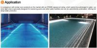 China Swimming Pools LED Neon Flex String Lights 24V IP68 CV SPI Or DMX512 High Brightness for sale