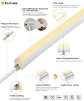 China Side Bend LED Neon Flexible Strip Light DC24V High Tensile Strength Salt Acid Resistant for sale