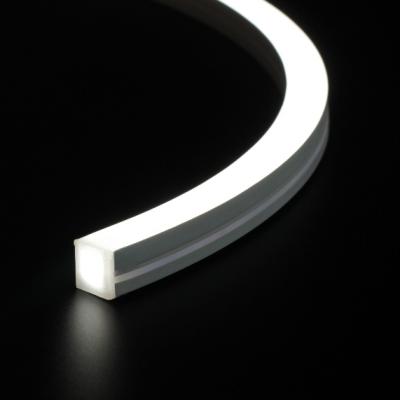 China Energy Saving Top Bend LED Neon Strip for OEM ODM Services Full Support for Branding Packaging Technical Specifications NHT-2020 for sale