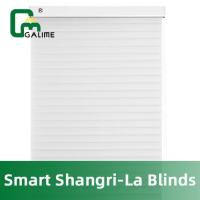 China Rechargeable Battery Motorized Shangrila Blinds Cordless Roller Shade Wire Free 3 Year Warranty for sale