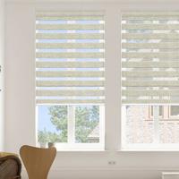 China WiFi Motorized Smart Zebra Blinds Semi Blackout Day Night Shades Voice Control for sale