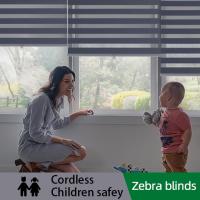 China Rechargeable Motorized Smart Zebra Shade Blinds Automated Battery Powered Custom for sale