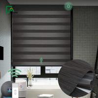 China Dual Layer Electric Smart Zebra Blinds With Remote Control Privacy Light Filtering for sale