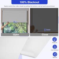 China Wire Free Motorized Blackout Roller Blinds Rechargeable Battery Powered 12V 28rpm for sale