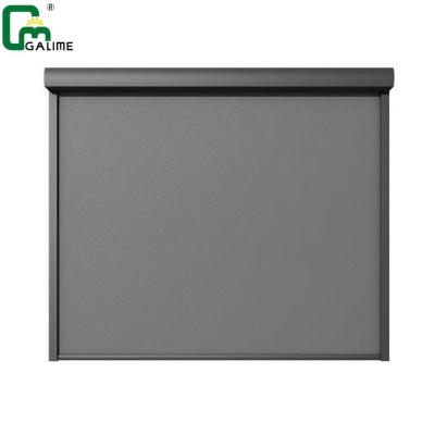 China Electric Smart Roller Blinds Remote Control Home Office Privacy Electric Blinds For Windows for sale