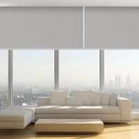 China Zigbee Battery Operated Roller Smart Honeycomb Blinds Semi Shading Tuya Alexa for sale