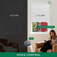 China Motorized Cordless Smart Honeycomb Blinds Remote Control Room Darkening Shades for sale