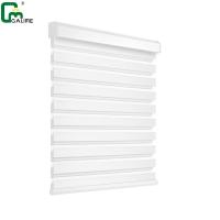 China 2.4GHz  Day And Night Blinds Modern Dual Layer Light Control Smart Zebra Blinds for sale