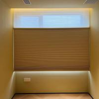 China Electric WiFi Smart Day And Night Blinds Cellular Cordless Thermal Insulation for sale
