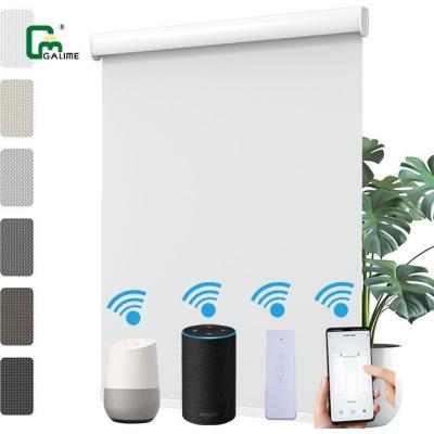 China Cordless Rechargeable Day And Night Blinds Smart Sunscreen Roller Blinds UV Protection for sale