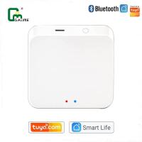 China Wireless Zigbee 3.0 Smart Home Gateway Gateway Hub With Alexa And Google Home for sale