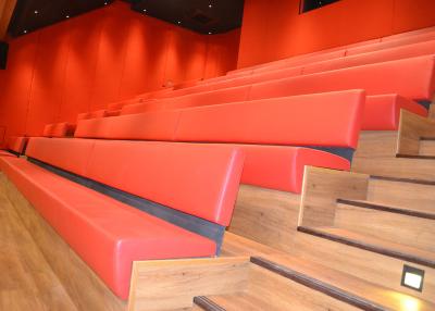China Smart Upgrades Telescopic Gym Bleachers / Optional Folding Temporary Grandstand Seating for sale