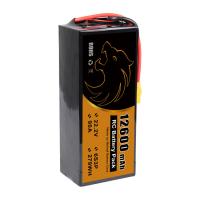 China 22.2V Lithium-ion FPV Drone Batteries with 12 Months Time for Performance for sale