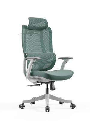 China 150kg Max Weight Capacity Office Swivel Chair Mint Green Colors Can Be Customized Comfortable Ergonomic Design Suitable For Workspaces for sale