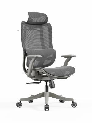 China 150kg Max Weight Capacity Office Swivel Chair Ergonomic Adjustable Height and Smooth Rolling Casters Suitable for Office for sale