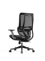 China 150kg Max Weight Capacity Office Swivel Chair Adjustable Handrail Ergonomic Mesh Backrest Comfortable Seating for Office for sale