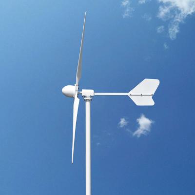 China 1000W Horizontal Wind Turbine Generator 24V 48V Renewable Energy Wind Turbine for sale