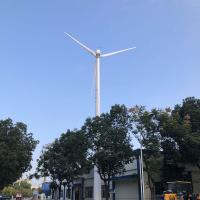China Multi Colors Electric Wind Turbine Generator 30kw 220V AC Wind Generator Glass Fibre Blade for sale
