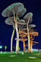China Glowing Stainless Steel Tree - Corridor Frame with Canopy for Architectural Landscape Projects for sale