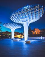 China Brushed Glowing Stainless Steel Tree Form with Canopy for Building Exterior Decoration for sale