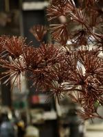China Customizable Bronze-Finished Stainless Steel Pine Tree Sculpture for Garden Landscaping for sale