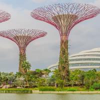 China Aesthetically Inspired Large-Scale Outdoor Metal Sculptures Gravure Printing and Enamelling Technique Tree-Themed Masterpiece for sale