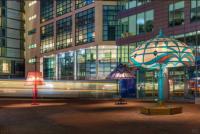 China Large Scale Illuminated Sculpture Production for Shopping Malls and Plazas for sale